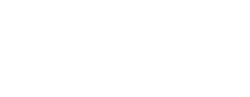 Adnami - High impact ads & attention measurement for real brand outcomes
