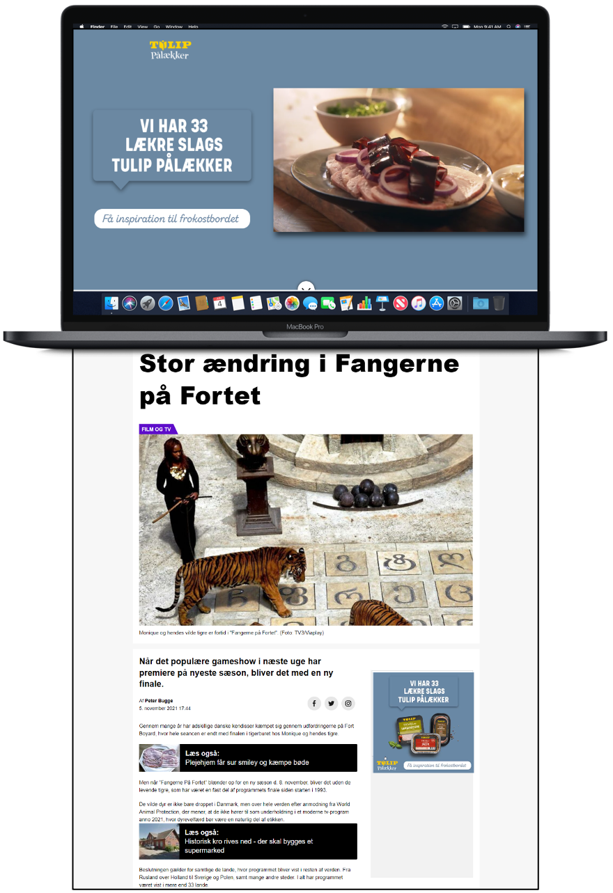 Case Study⎜Tulip improved their view-time and attention with Adnami