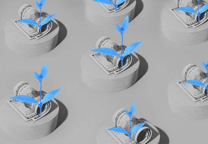 Adnami lands new 7-figure € investment to reach profitability and ...